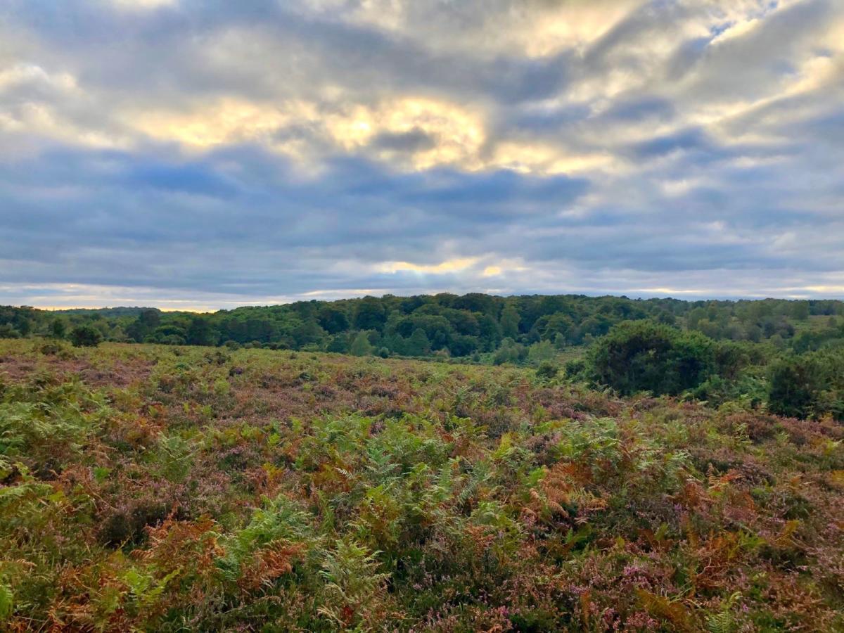 The New Forest’s Top Ten Breath-taking Viewpoints