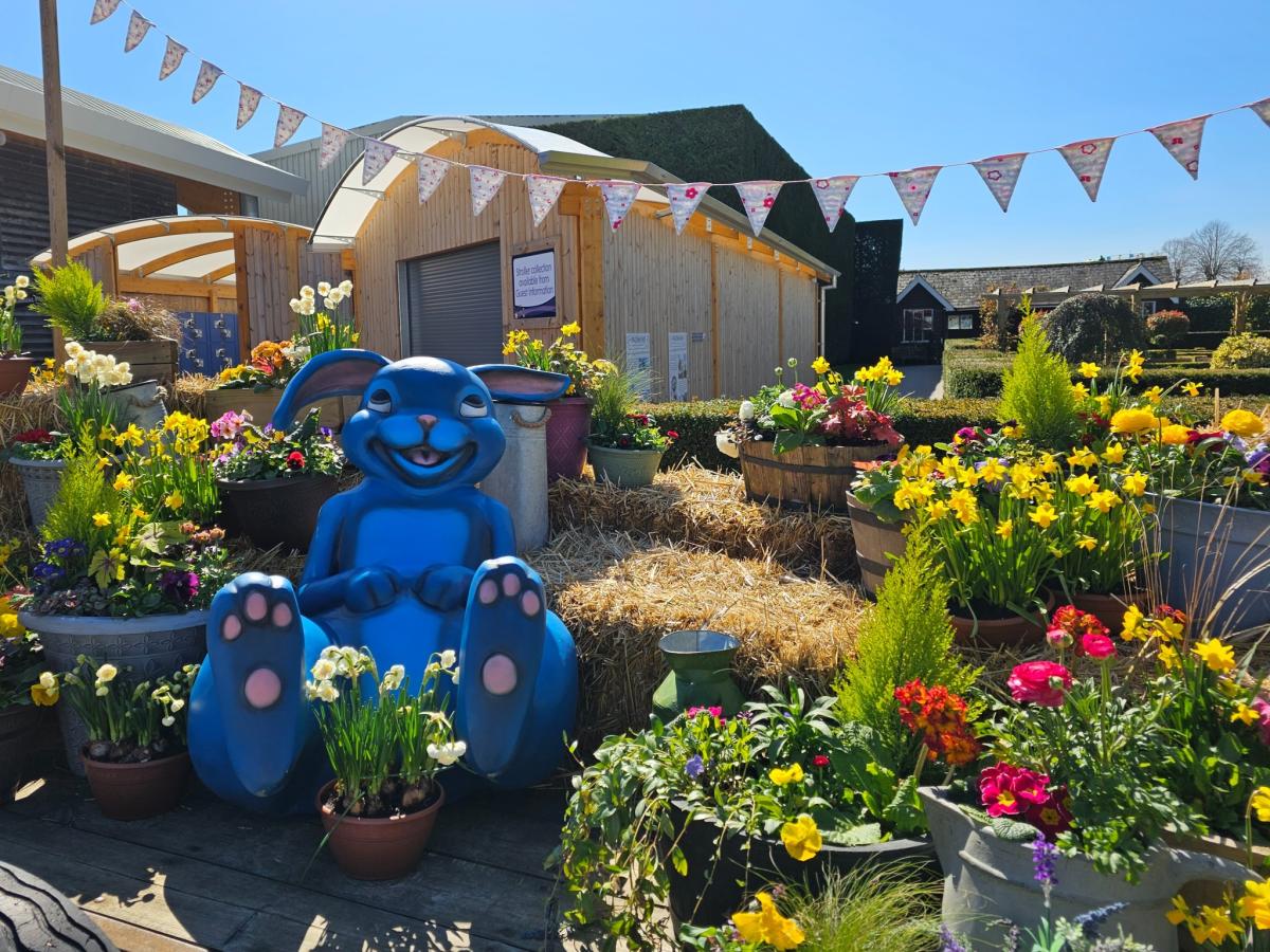 Top Easter events in the New Forest