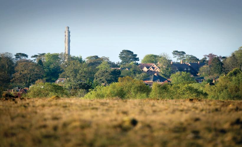 Sway Sway: PDFs For The 2020s | ICAEW