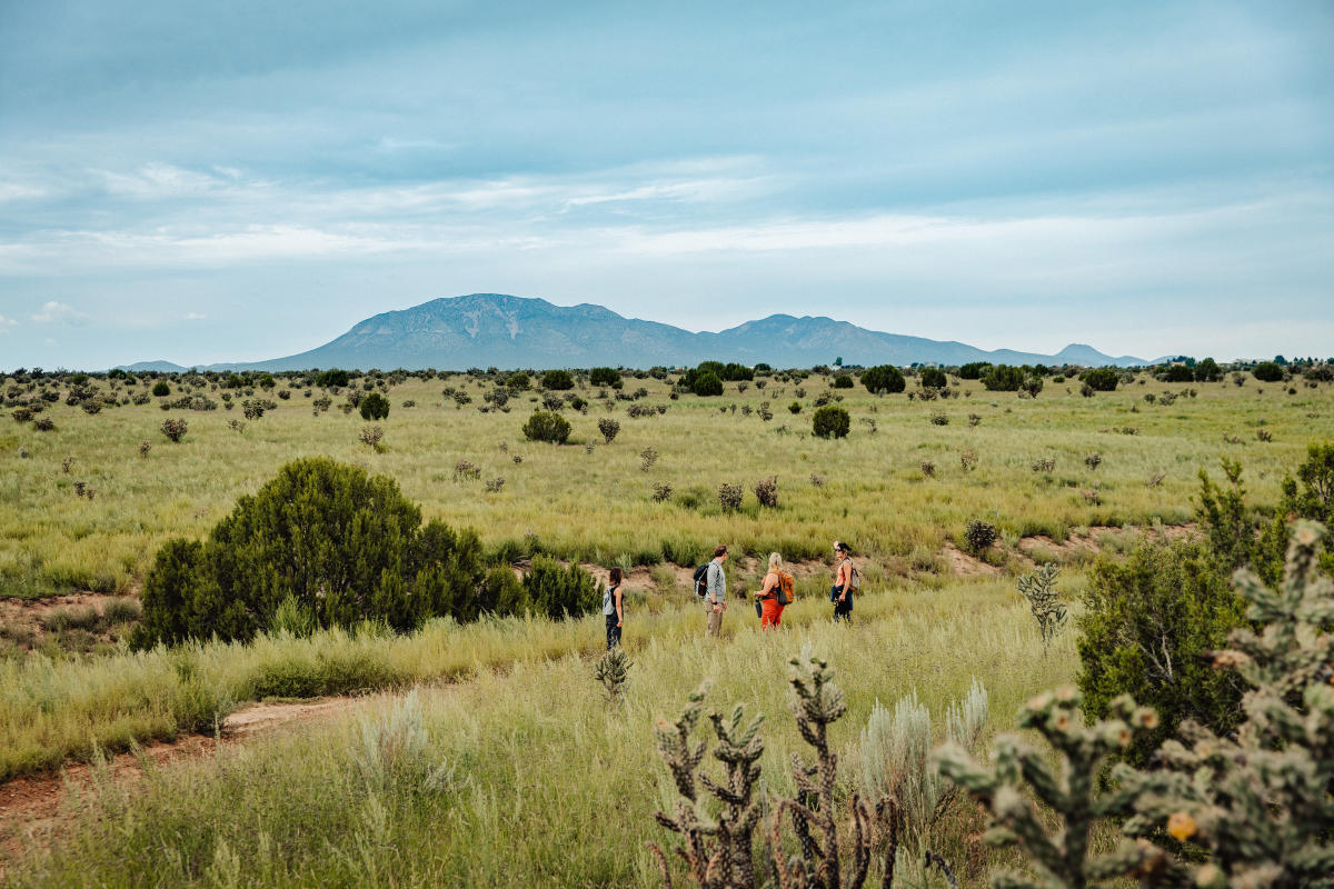 Mountains of Fun