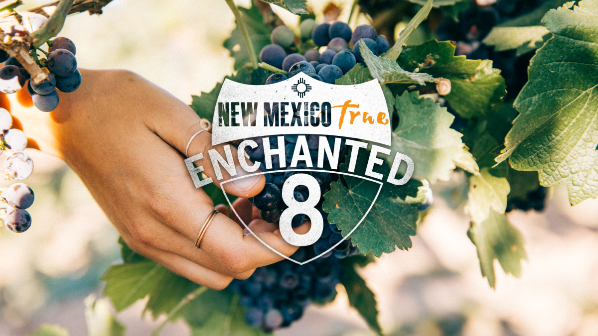 Road Trip for True Agriculture Addicts