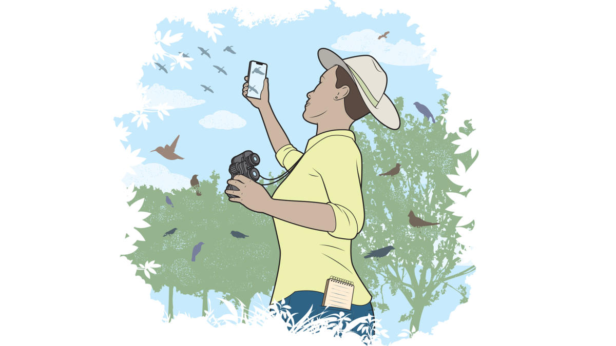 Helpful Tips to Become a Better Birder in New Mexico