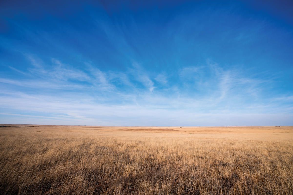 Harding County Lives off The Land and the Area's History