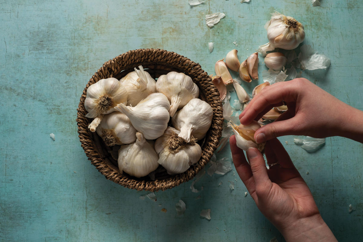 elephant garlic planting spacing