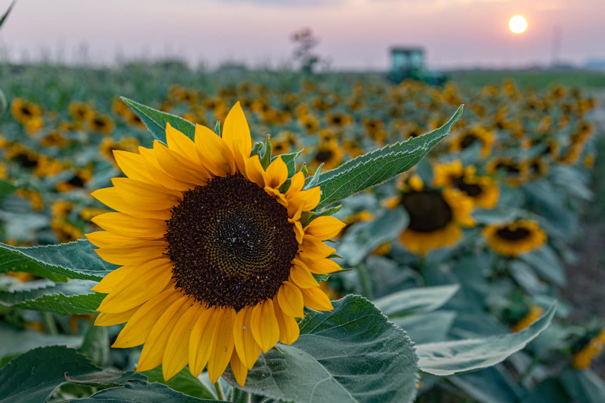 New Mexico True Certified Experiences ready for spring break