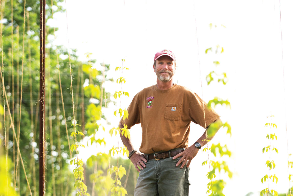 Native New Mexico Hops are Coming to a Brewery Near You