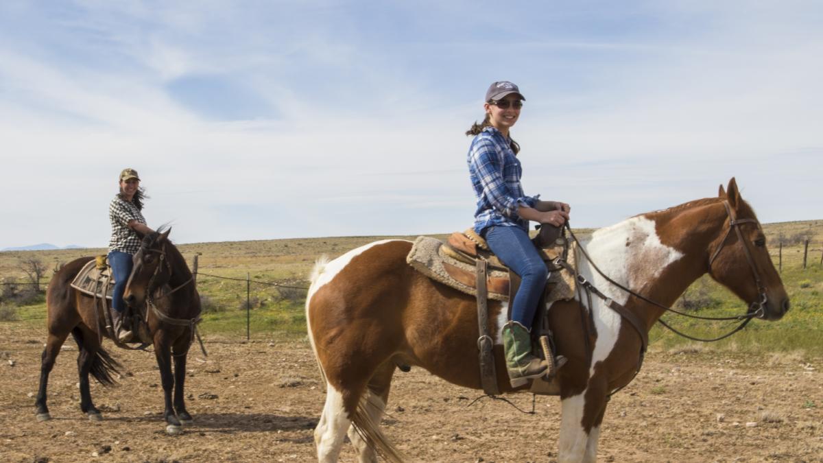 Dude Ranches - New Mexico Tourism - Working Guest Ranch Vacations - New ...