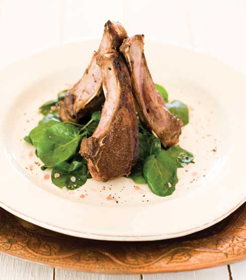 For the Love of Lamb