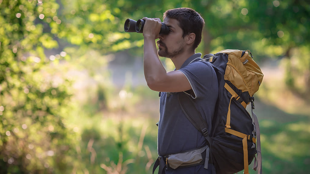 Follow These Bird-Watching Tips for Beginners