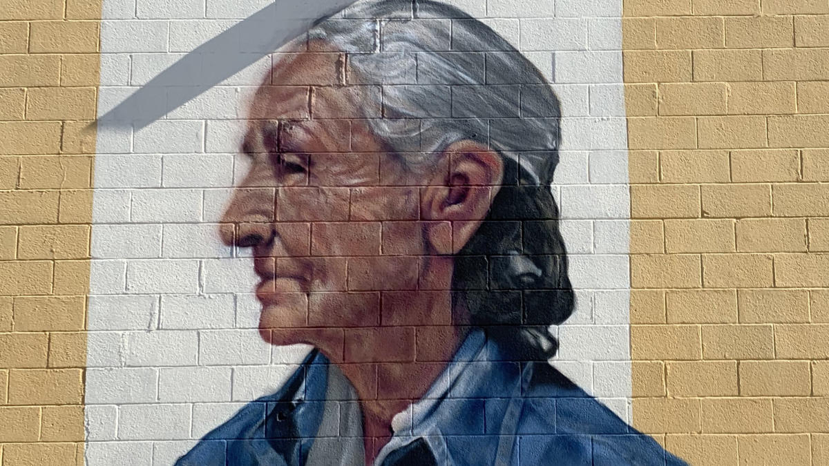 La Cruces Murals Art Walk