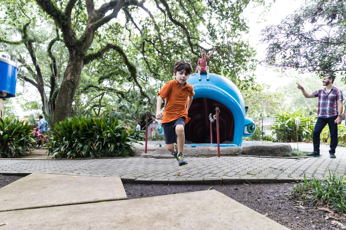 City Park Family Attractions