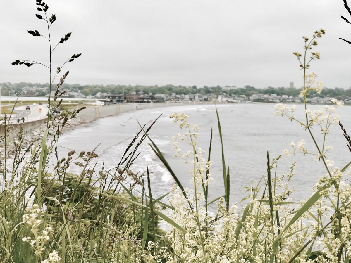 USAToday | Find fall splendor at these 7 New England beaches | Discover ...