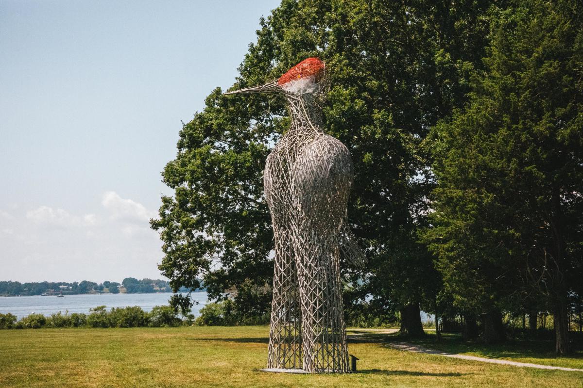 Bamboo Birds at Blithewold | Daffodil Display & Seasonal Events