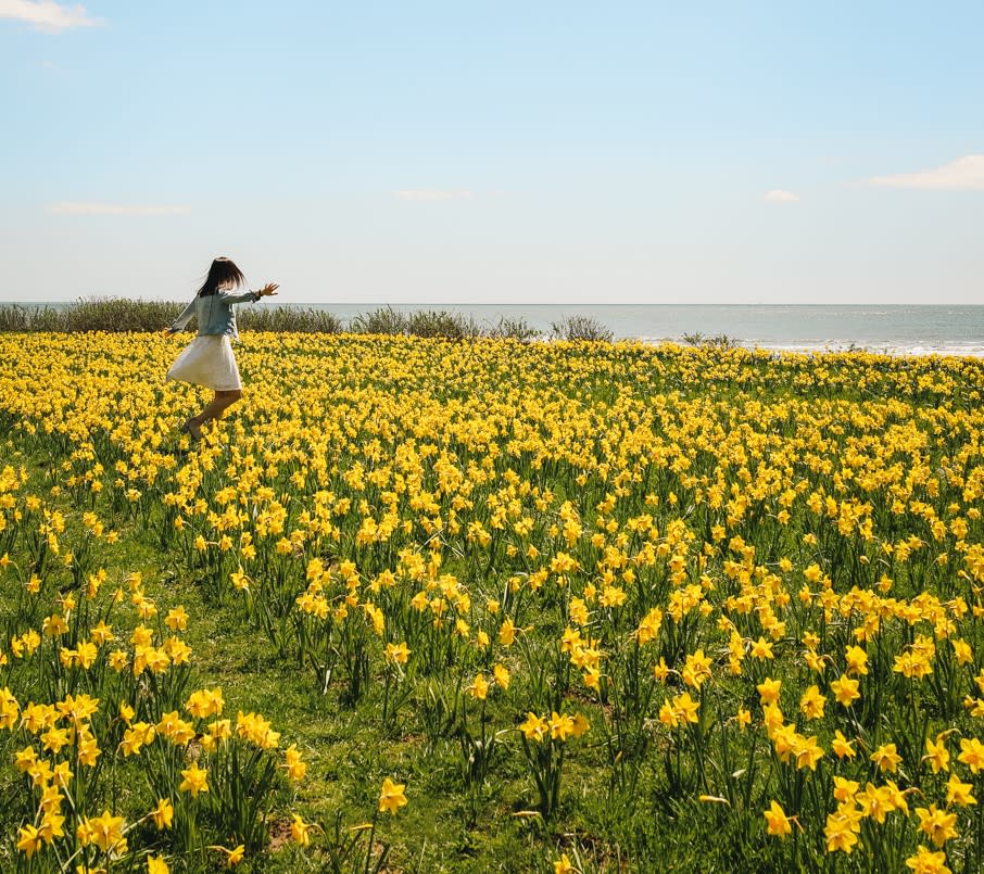 UPDATED Springtime Happenings in Newport, Rhode Island