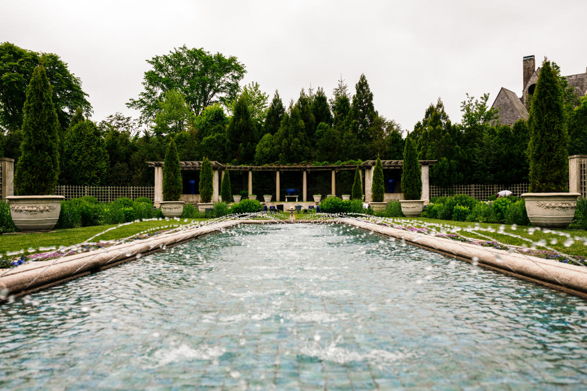 The Best Kind of Blue: Introducing The Blue Garden