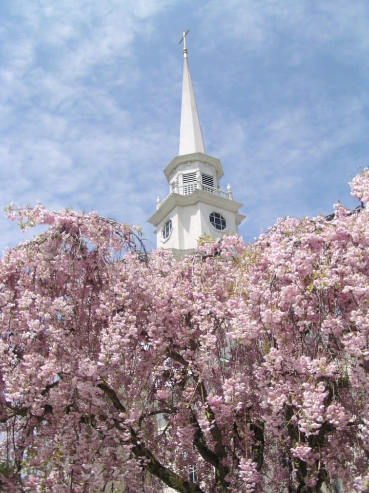 Newport and its Surrounding Coastal Communities March Into Spring