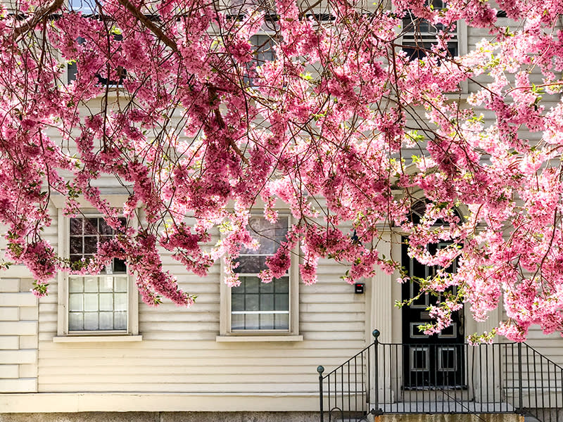 Spring Events in Newport RI | Discover Newport, Rhode Island