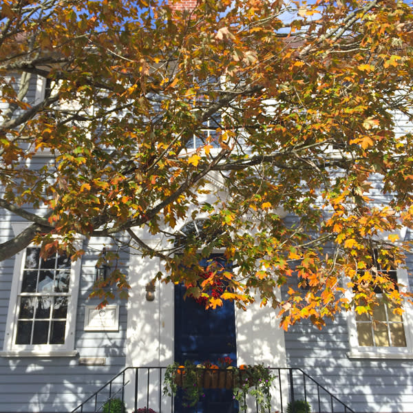 Thrillist: How to See the Most Beautiful Fall Foliage in New England