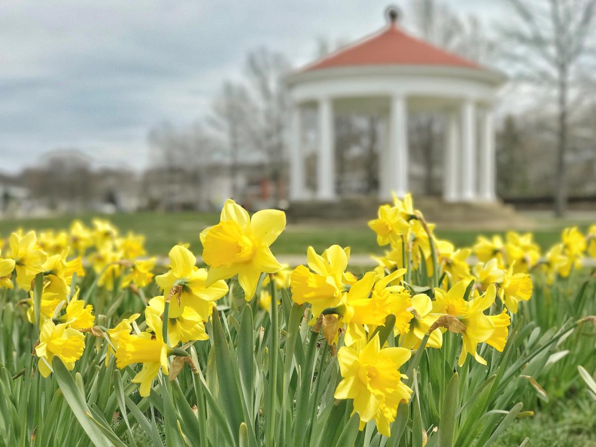 Embrace The Bloom: 10 Of New England's Best Spring Destinations For ...