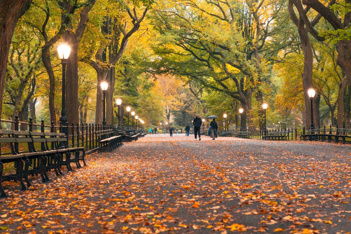 Ultimate NYC Bucket List 2025: 50 Must-Do Activities