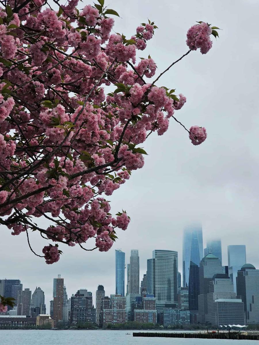 When to Visit NYC: Every Season and Month Explained