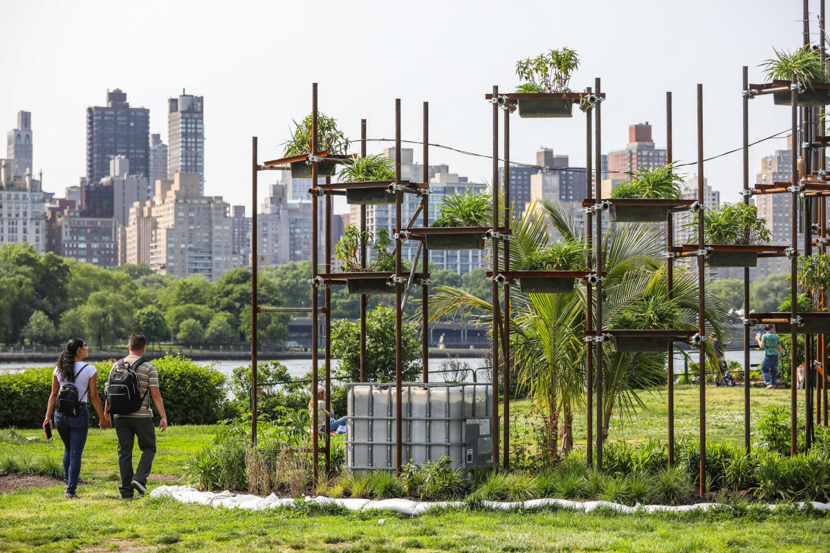 6 Hidden Gems in Queens To Check Out (From a Local)