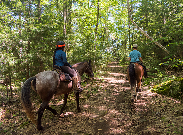 Enjoy Horseback Riding In New York State