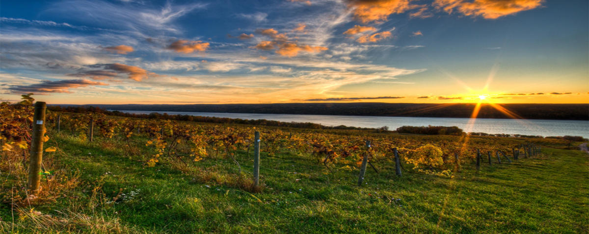 Explore New York’s Finger Lakes | Wine, Nature & More