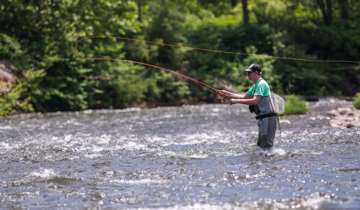 Beginner's Guide to Fishing in New York State