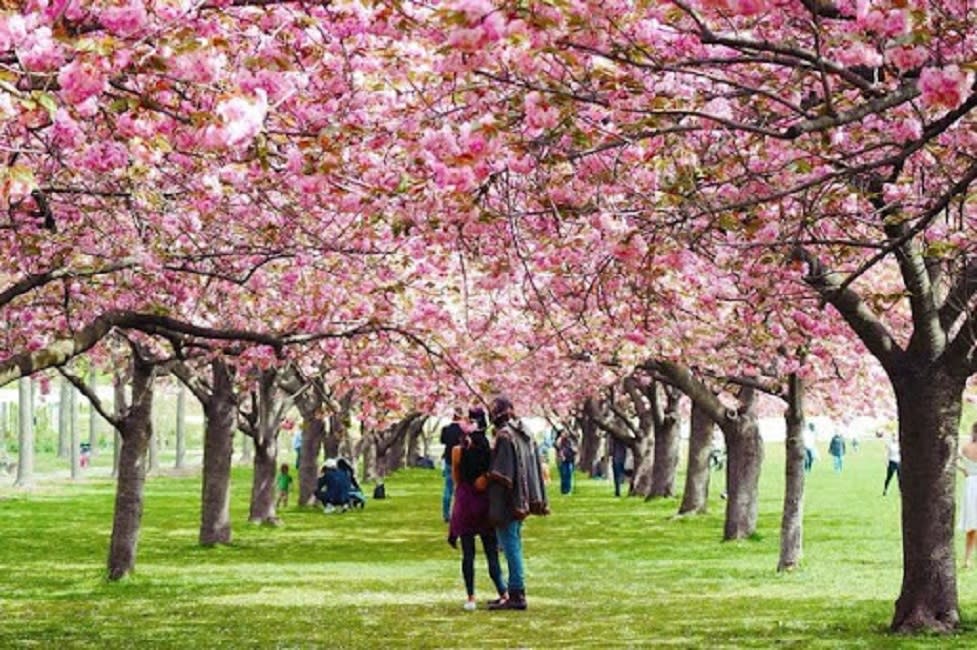 Romantic Spring Getaways in New York State