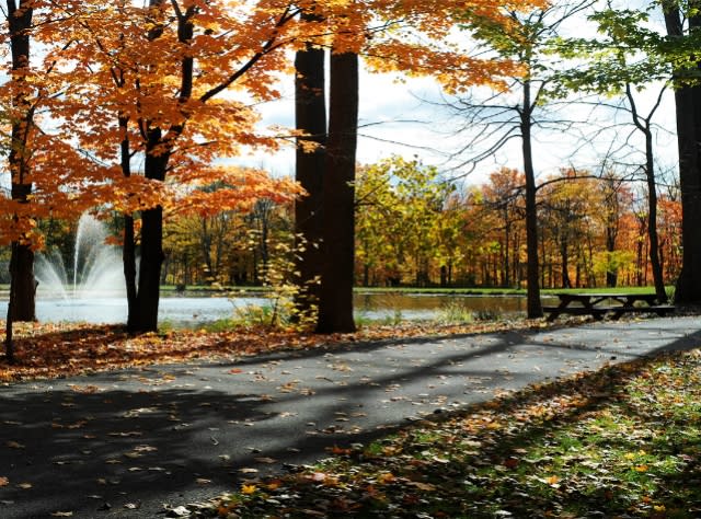 New York State Nature Events | Marathons & Festivals