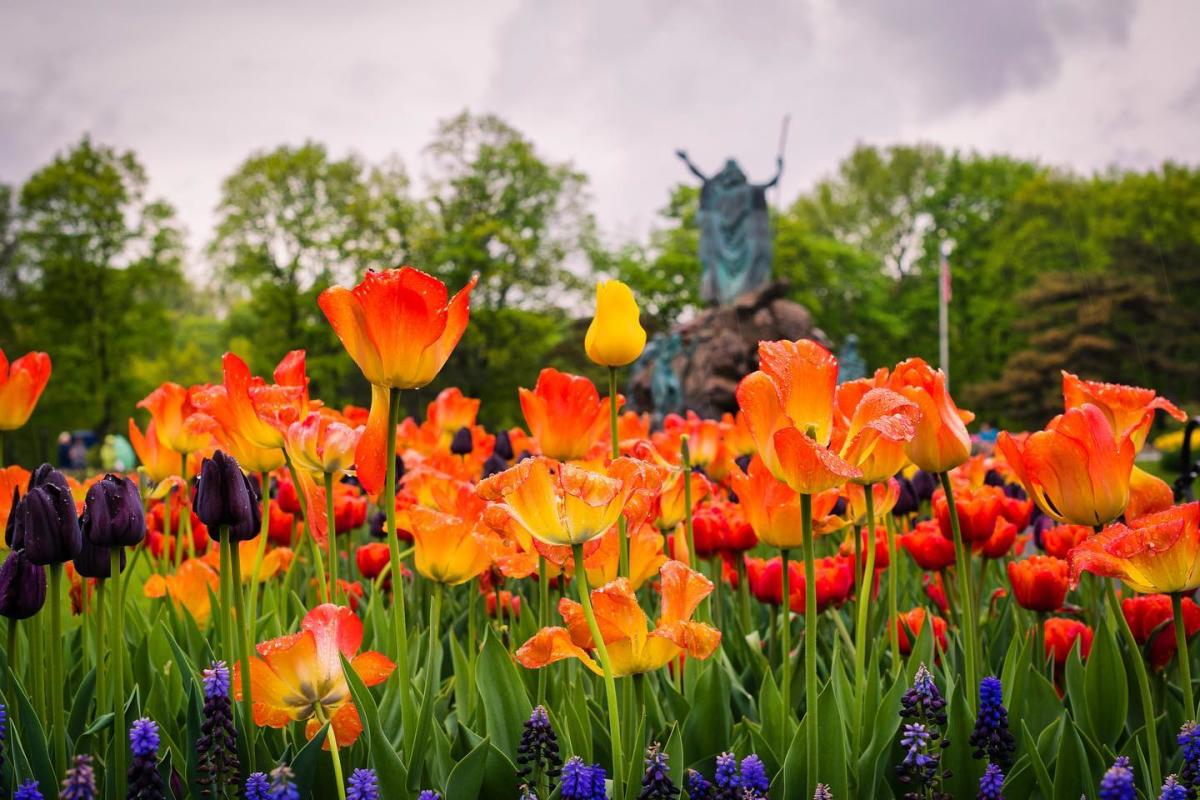 Spring and Summer in New York | New York Seasons | New York Weather