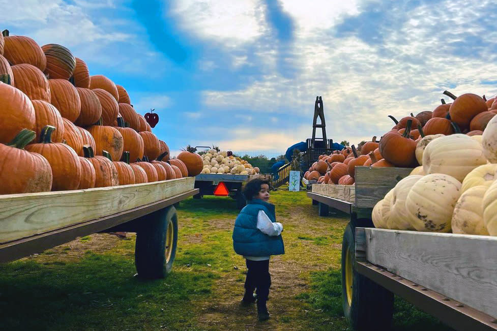 Find Fall Family Fun at These 16 New York State Farms