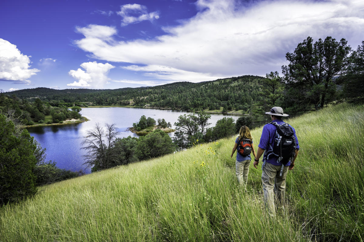 Fly Away to the Gila National Forest