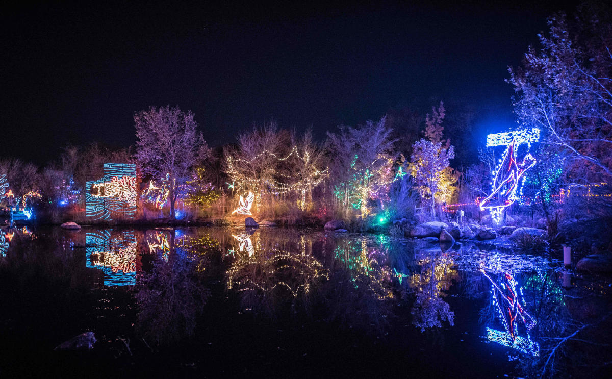 This Year's Must-See Holiday Light Shows