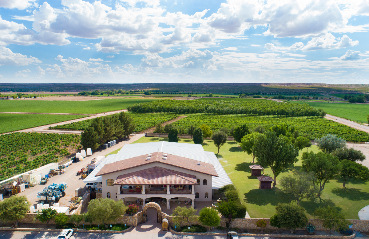One of New Mexico's Oldest Wineries Improves with Age