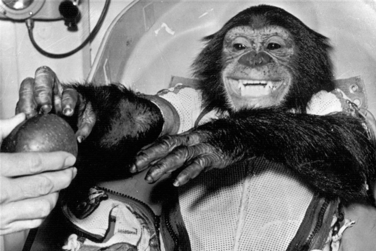 A Brief Look at Ham the Astrochimp's Journey into Space