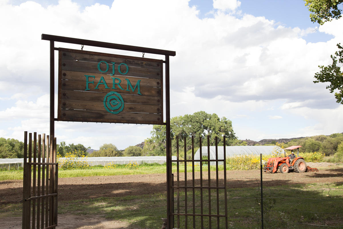 Luxury Meets Sustainability with Ojo Farm