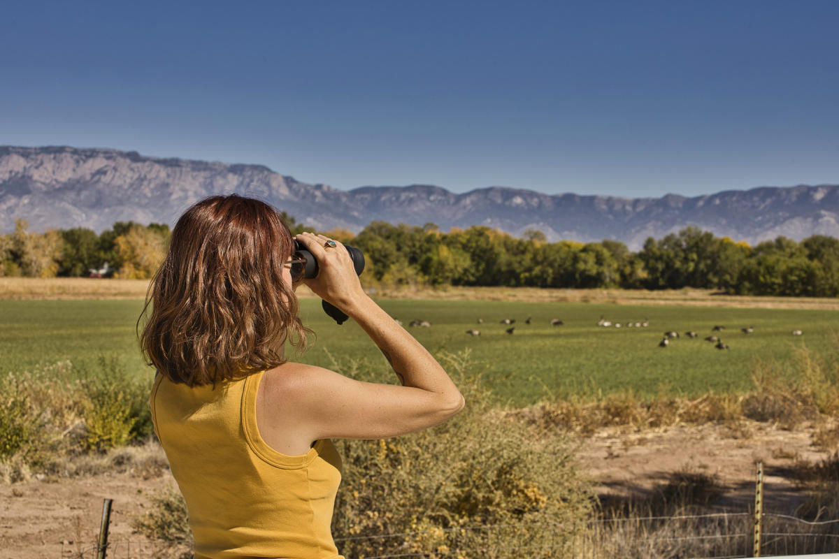 Find Nature in the City at the Río Grande Nature Center, in Albuquerque