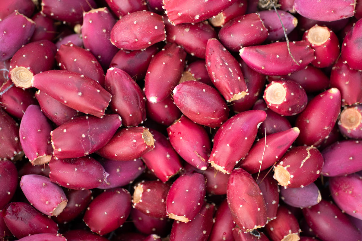 prickly pear snacks