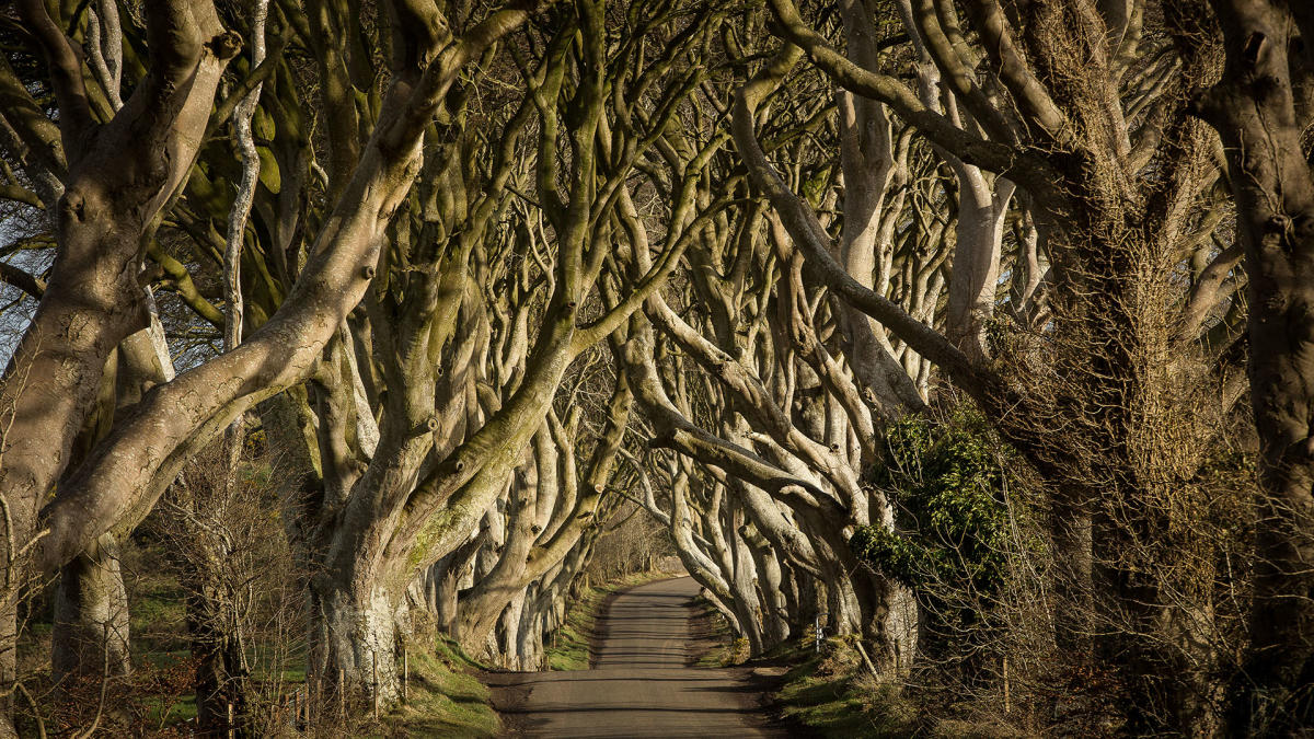 Film & TV Locations in Northern Ireland | Visit & Explore