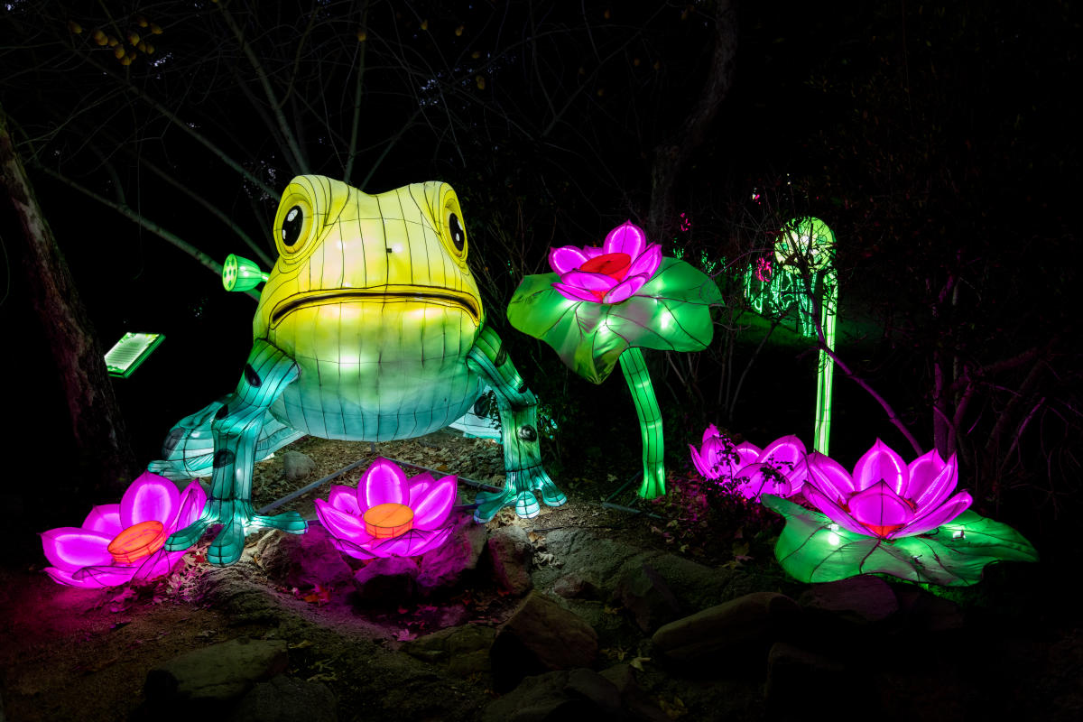 Oakland Zoo | Glowfari Tickets & Event Information