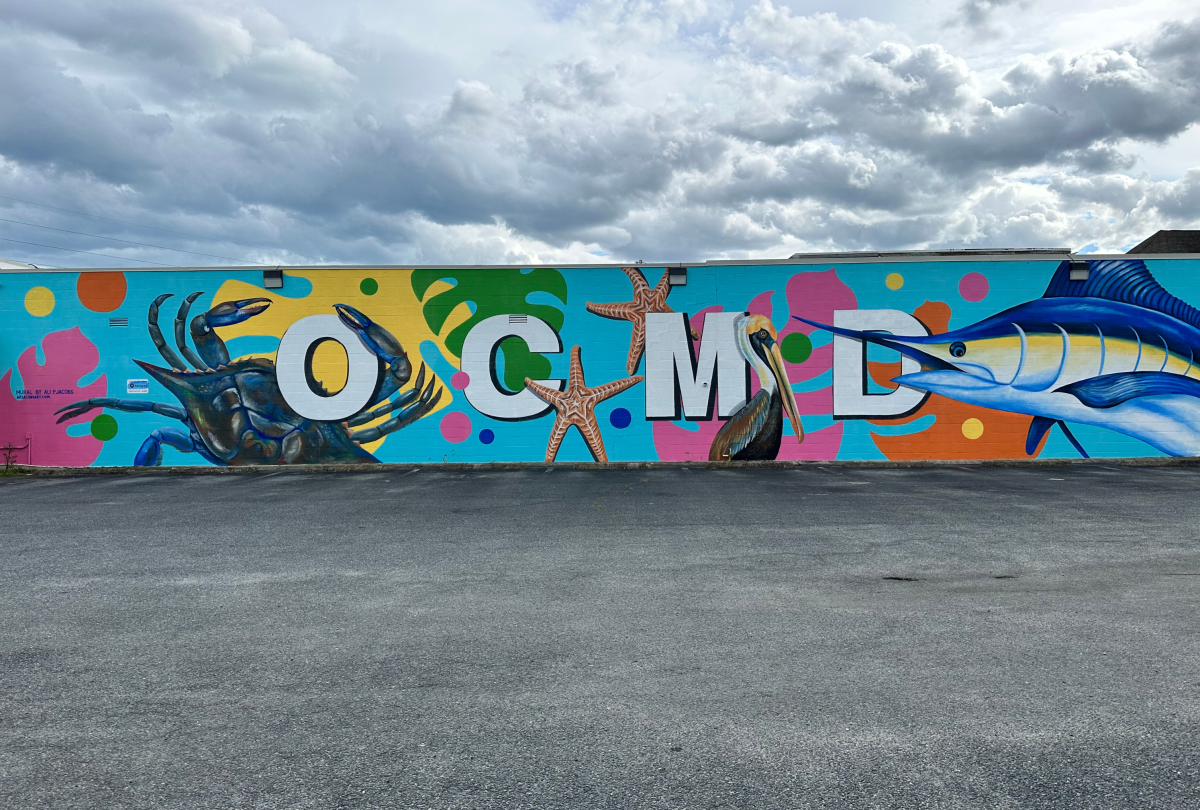 Vibrant Backdrops Around Ocean City, MD for Your Next Selfie