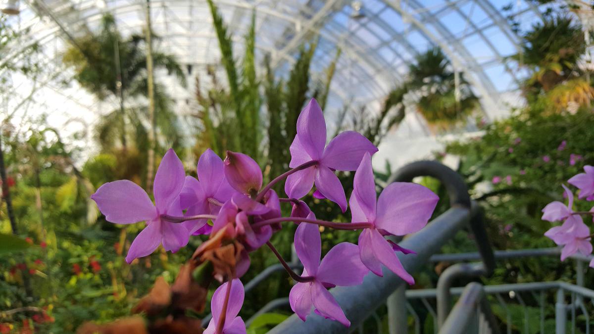 Top Oklahoma City Parks & Gardens to Enjoy Nature