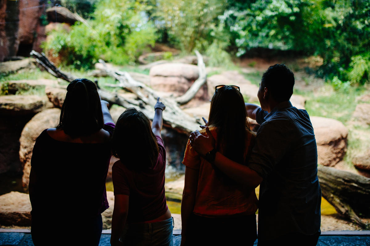 OKC ZOO SETS NEW ANNUAL ATTENDANCE RECORD