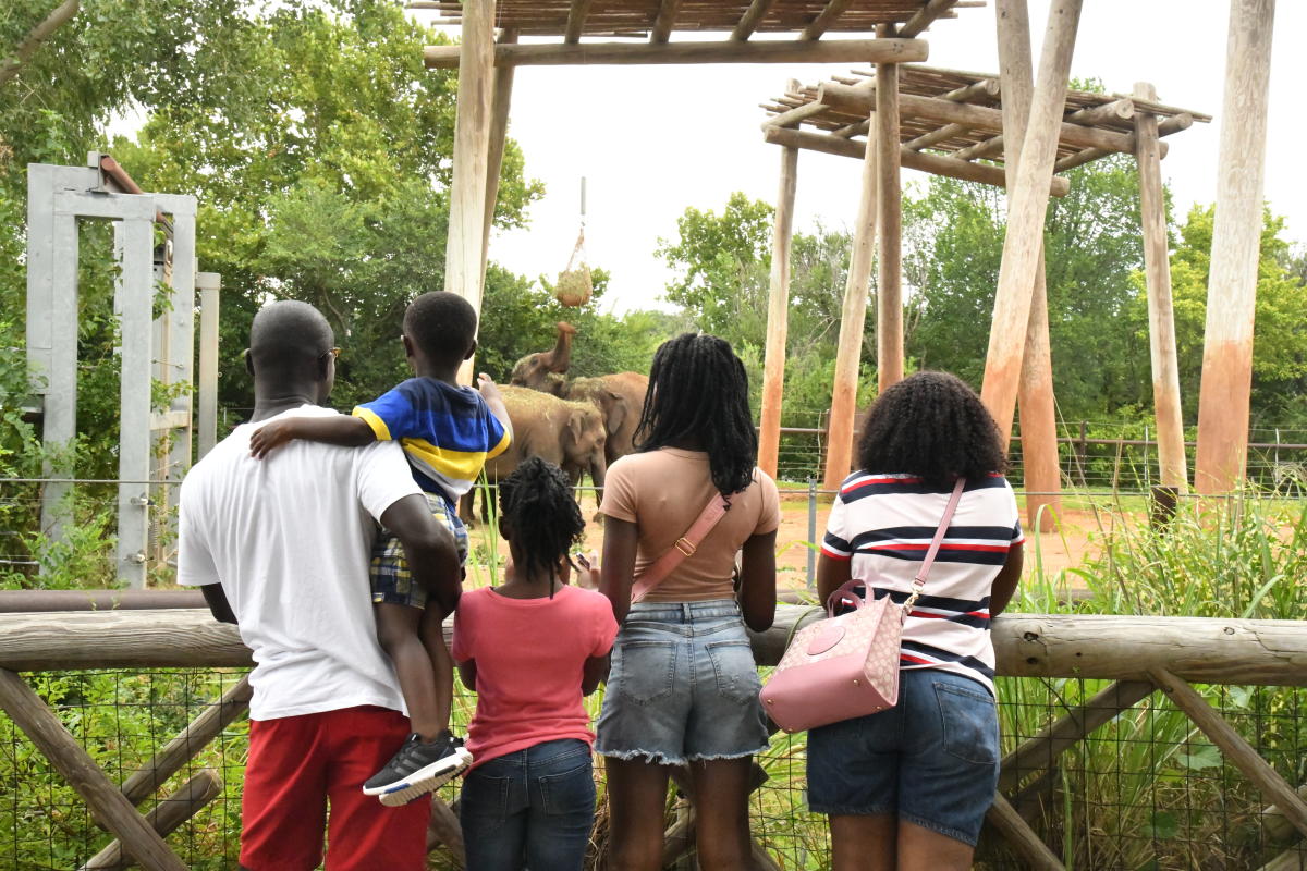 OKC ZOO SETS NEW ATTENDANCE RECORD FOR MARCH