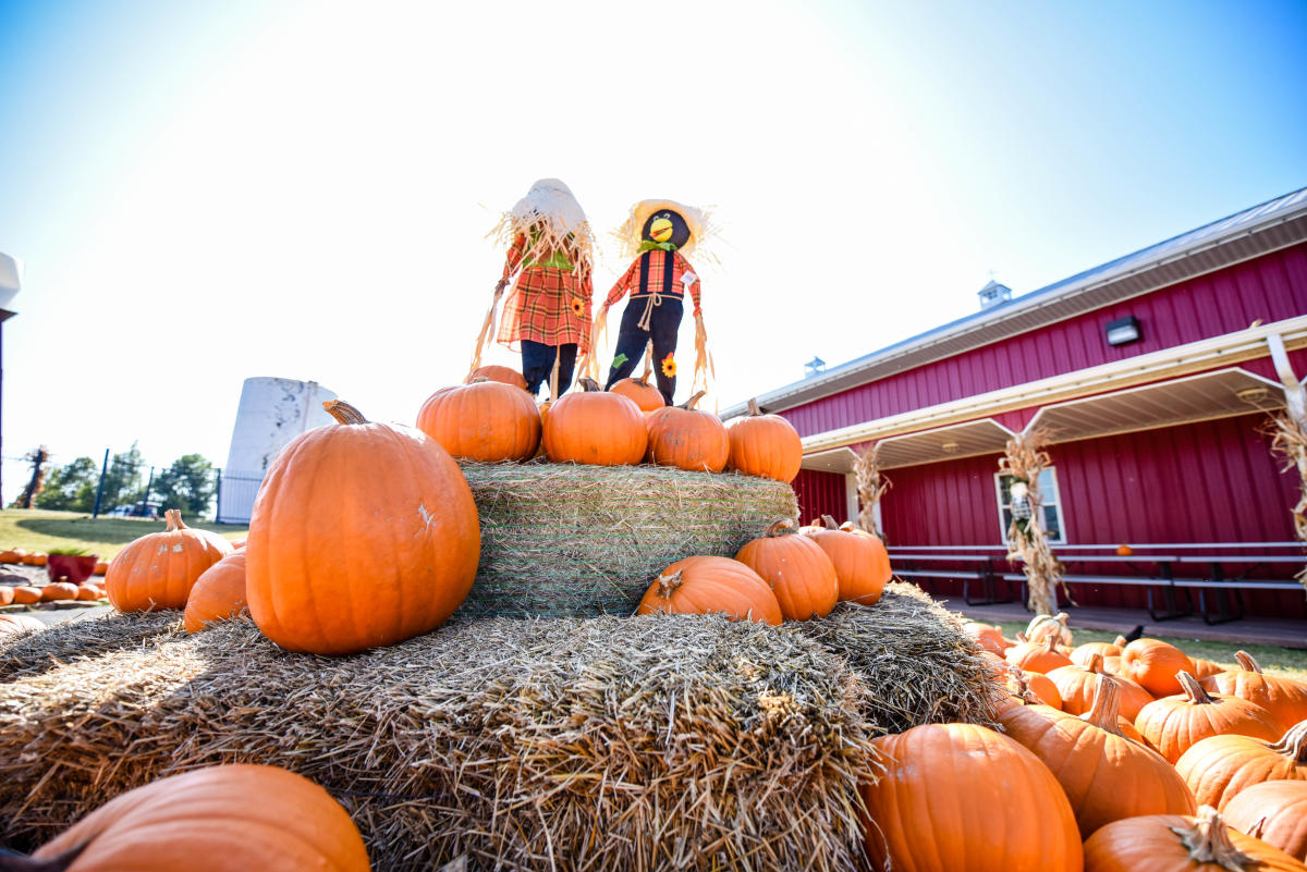 Free Things To Do In Oklahoma City This Fall | Visit OKC