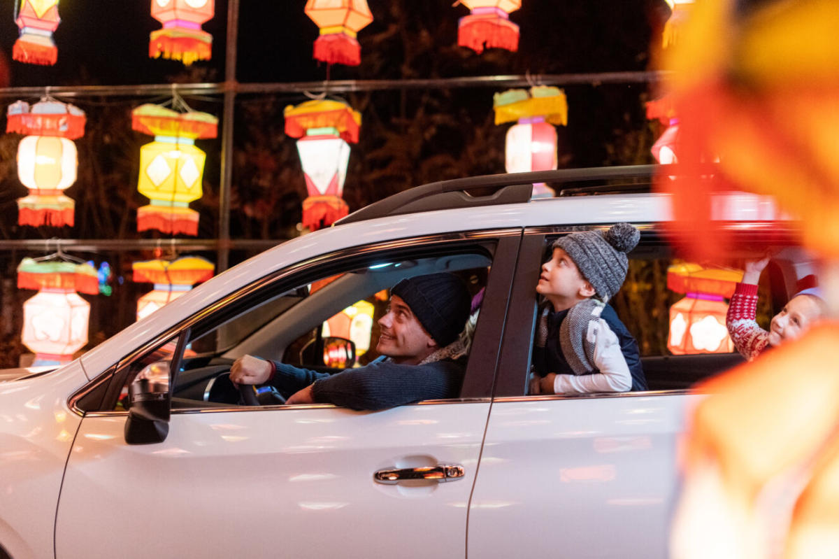 OKC ZOO SAFARI LIGHTS ROARS INTO THE HOLIDAY SEASON WITH ALL NEW ...