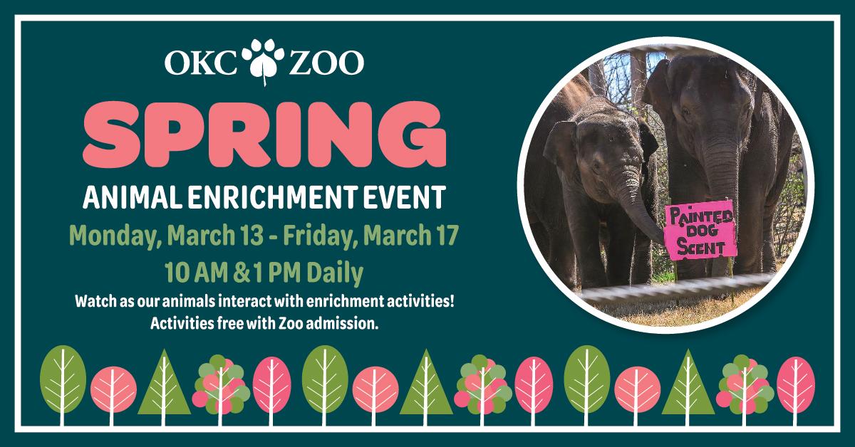 OKC ZOO HOSTS SPRING BREAK ENRICHMENT ACTIVITIES FOR ITS ANIMALS AS ...