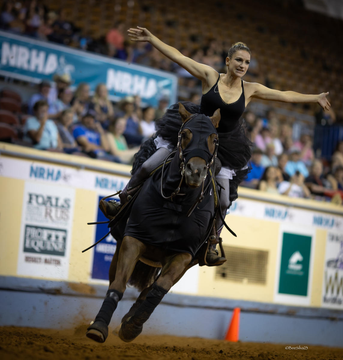 The NRHA Derby in Oklahoma City | Events & Activities
